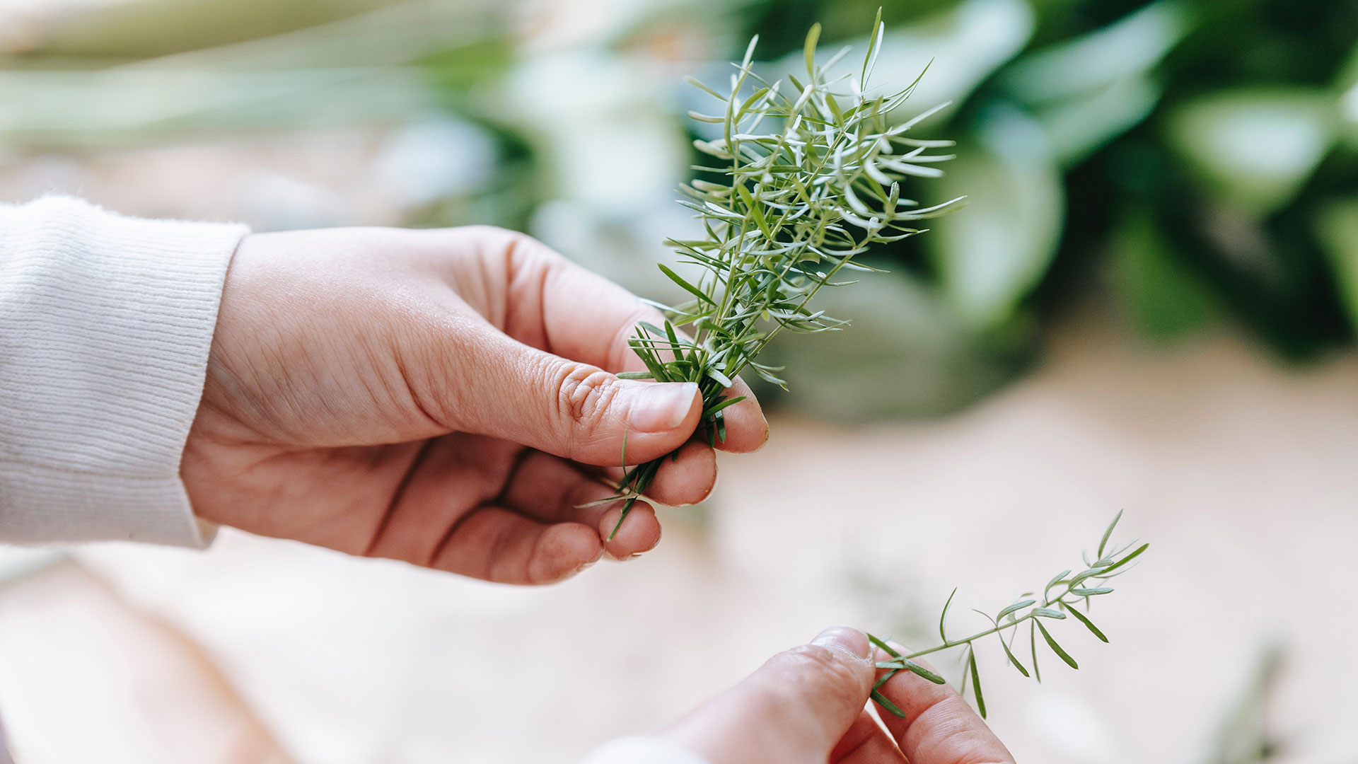 Growing Herbs in Interior Alaska - Jo's Table Alaska